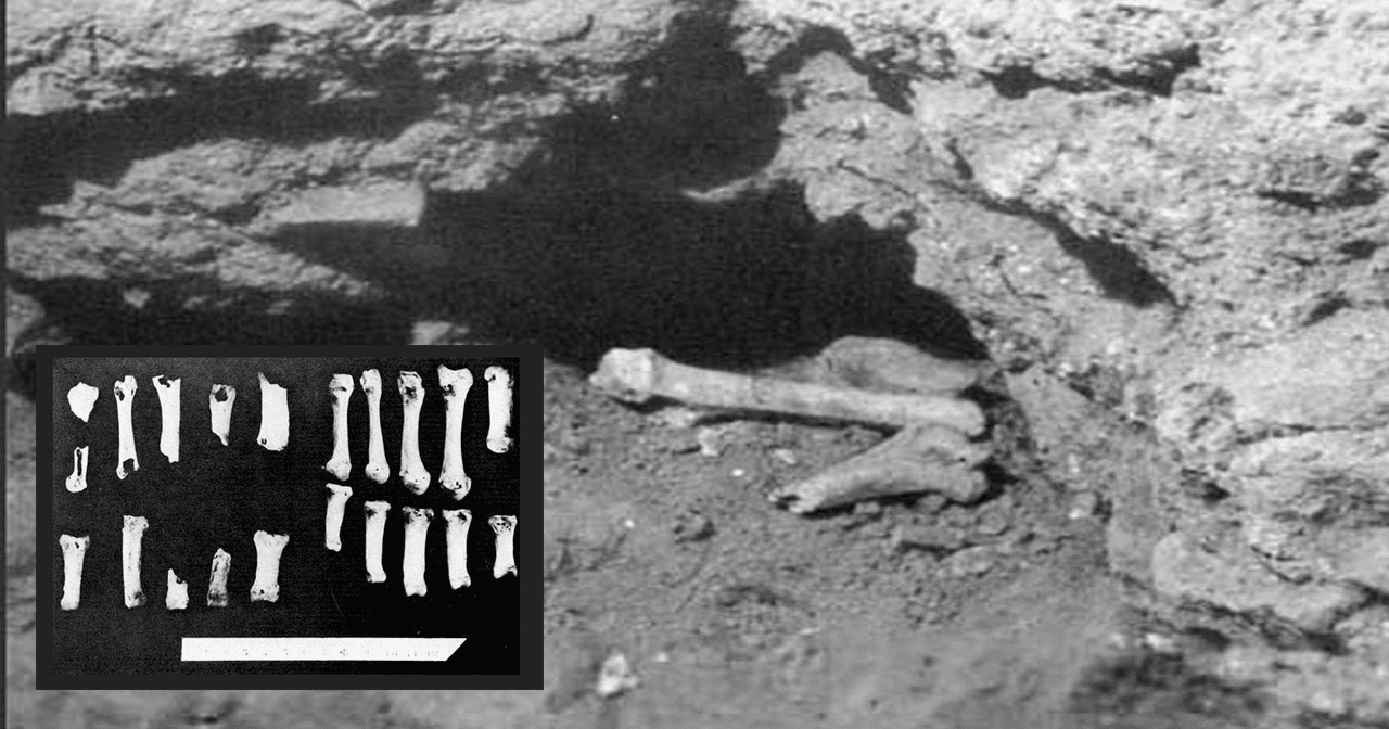 When They Found the Bones of Saint Peter | uCatholic